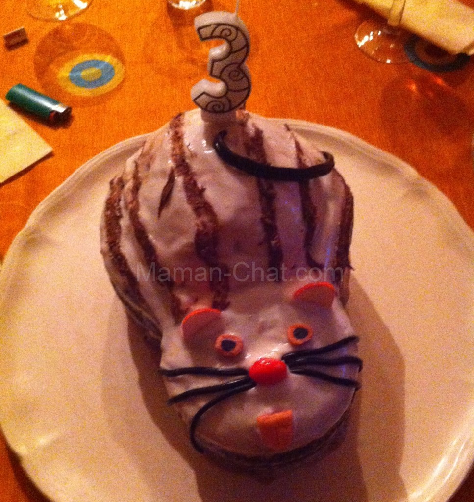 Gâteau d'anniversaire chat : Le chat coloré ! - Famille Chat